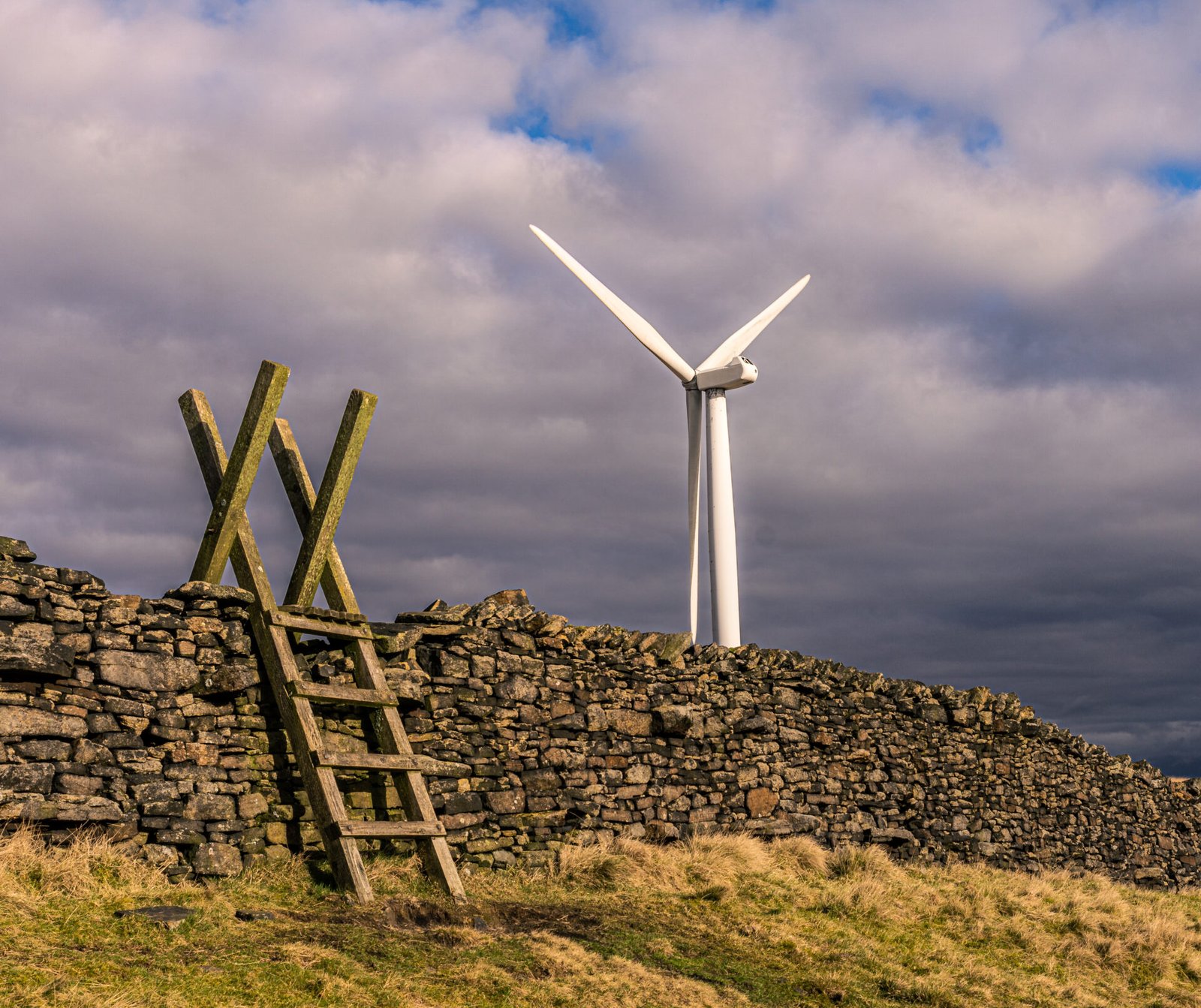 A Walk on Knowl Hill | Stephen Kennedy Photography